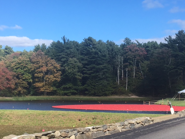 Home - Cranberry Country Chamber of Commerce